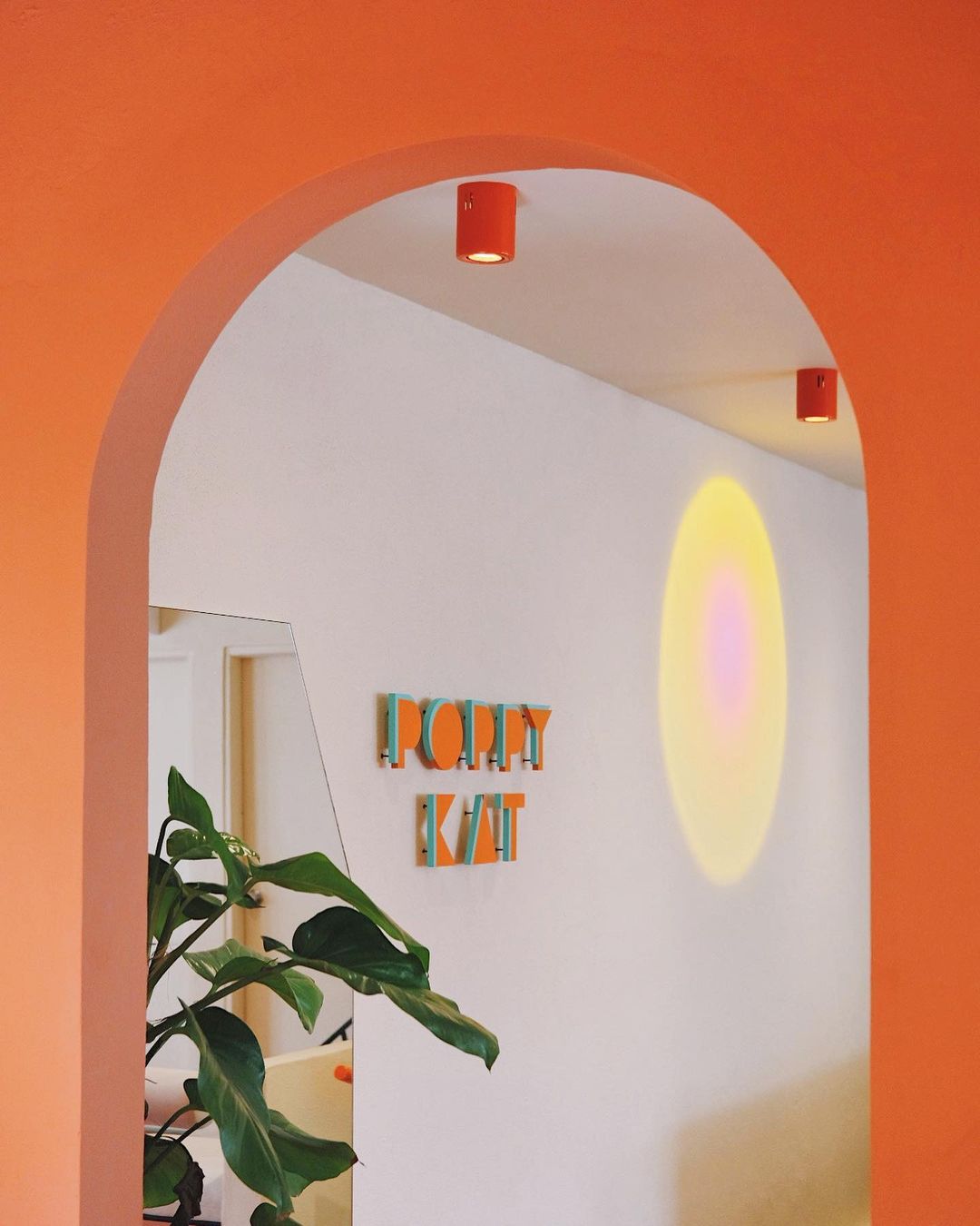 Cat Cafés in KL that Cat Lovers Must Check Out - City Kaki Media
