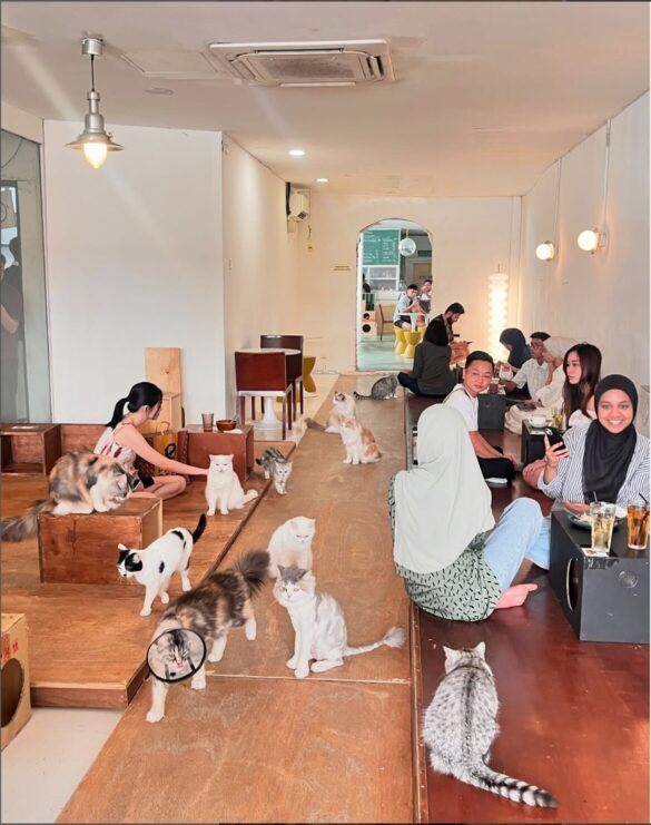 Planning Your Pasar Seni Day Out So You Don’t Have To - City Kaki Media